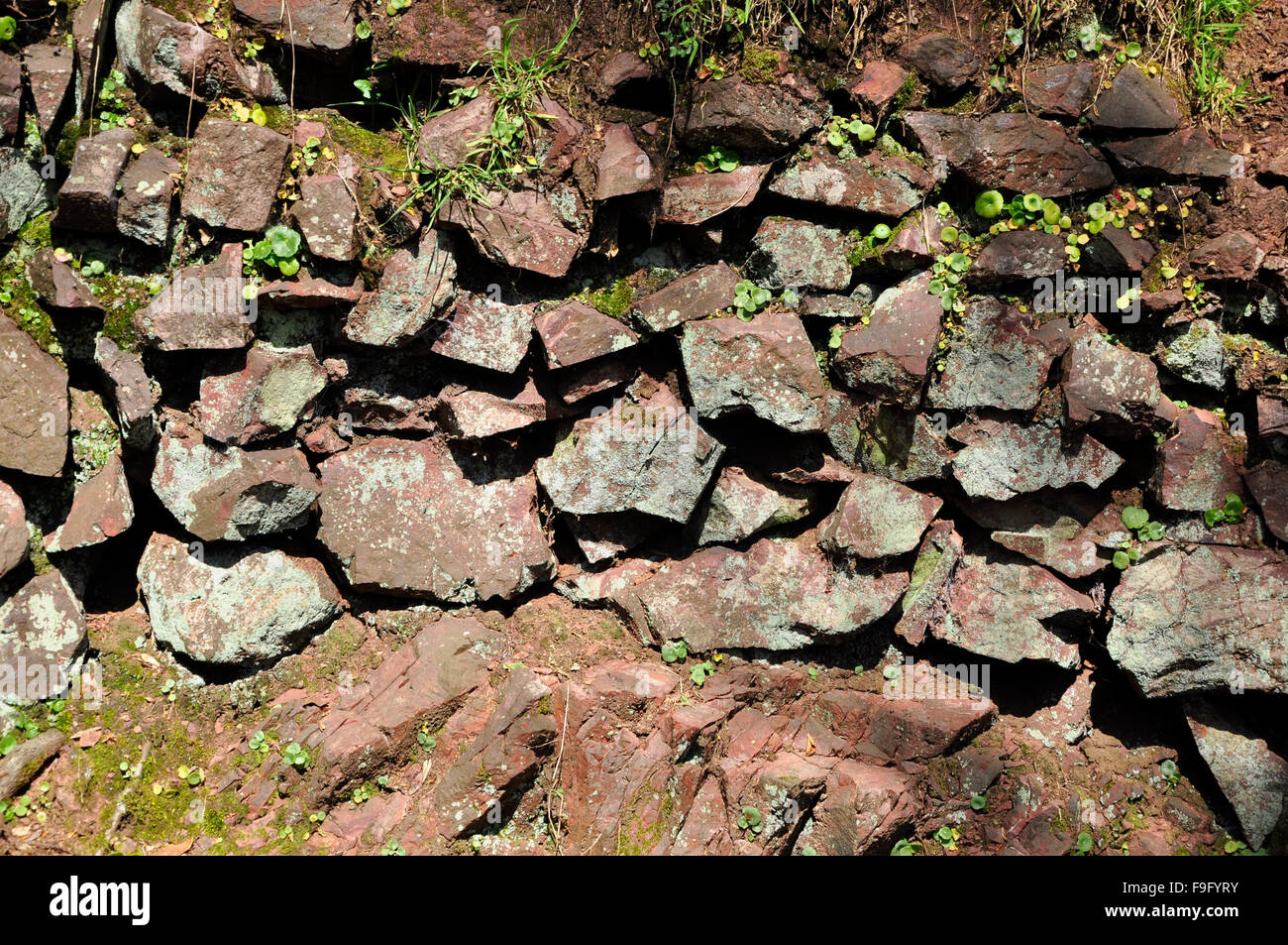 Stone wall on Exmoor in Somerset.UK Stock Photo - Alamy