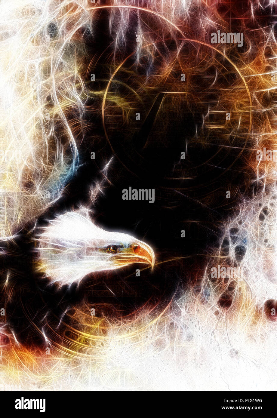 flying eagle beautiful painting illustration, with one dollar collage ...