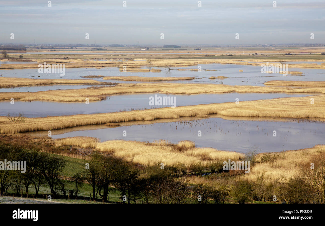Alkborough Flats, Managed Realignment site, North Lincolnshire, England ...