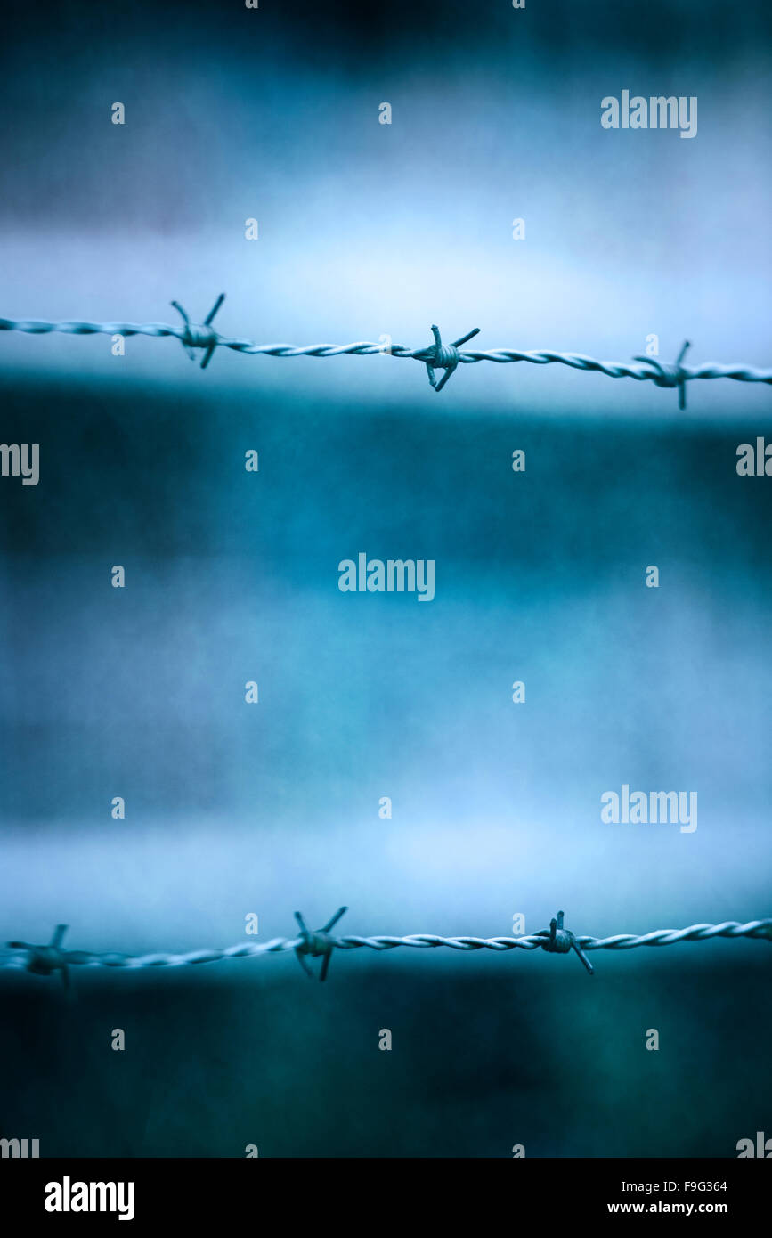 Detail of a section of barbed wire Stock Photo - Alamy