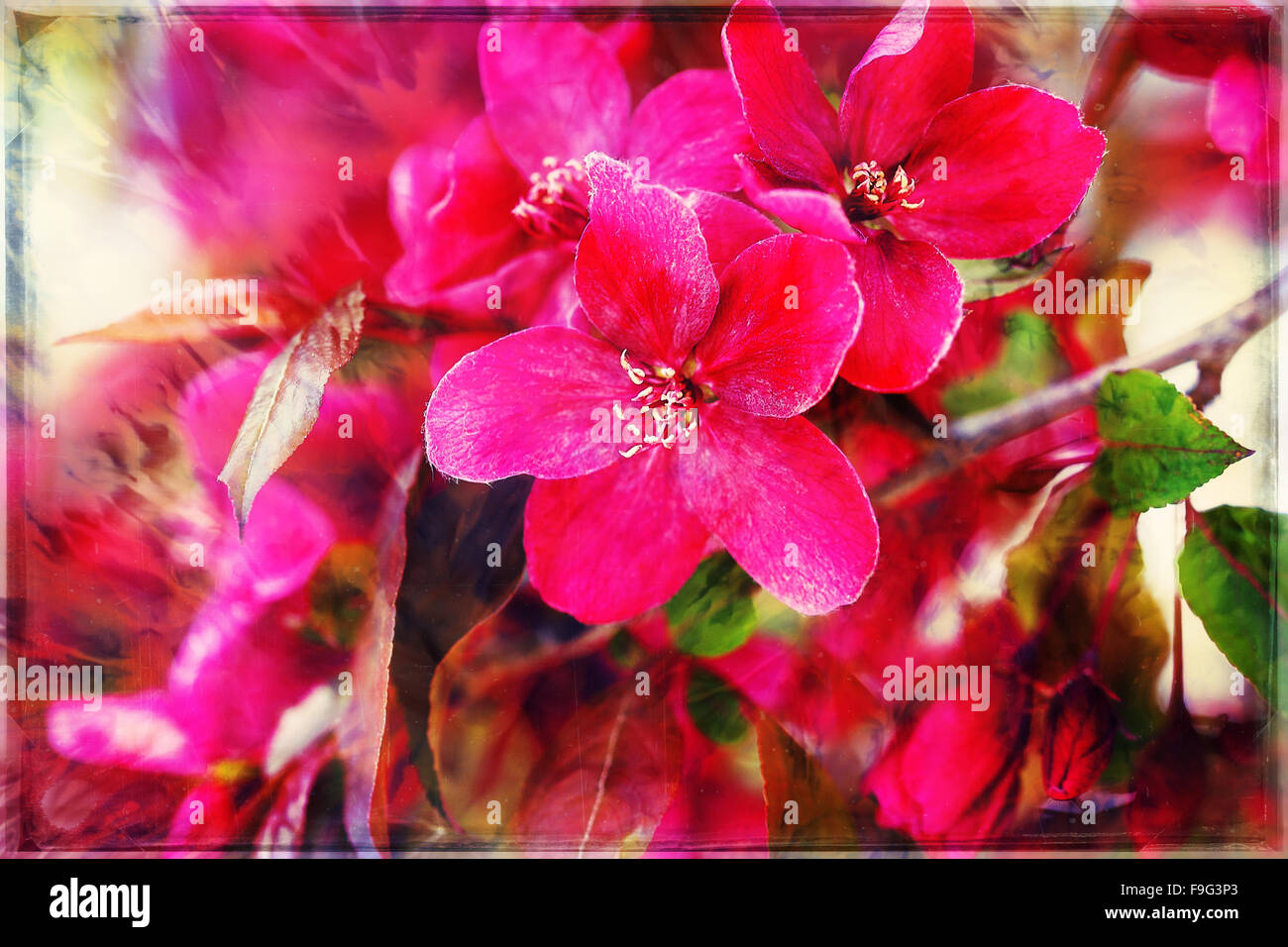 Red flowers with batik pattern Stock Photo - Alamy