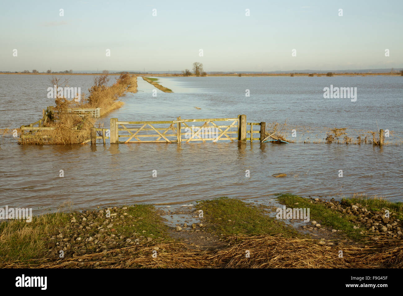 Alkborough Flats, Managed Realignment site, North Lincolnshire, England ...