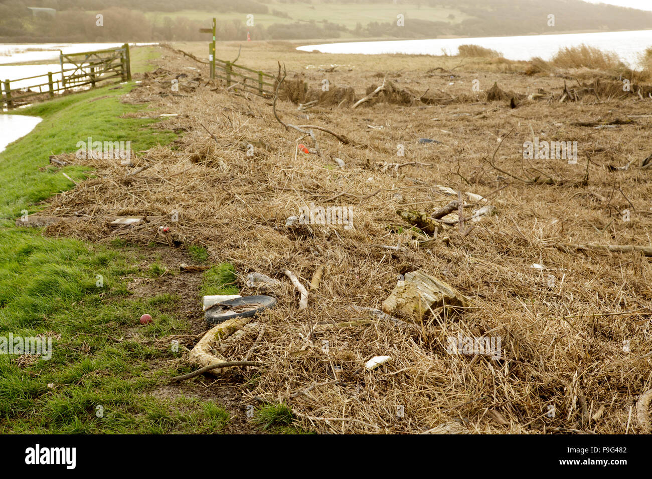 Managed Realignment High Resolution Stock Photography and Images - Alamy