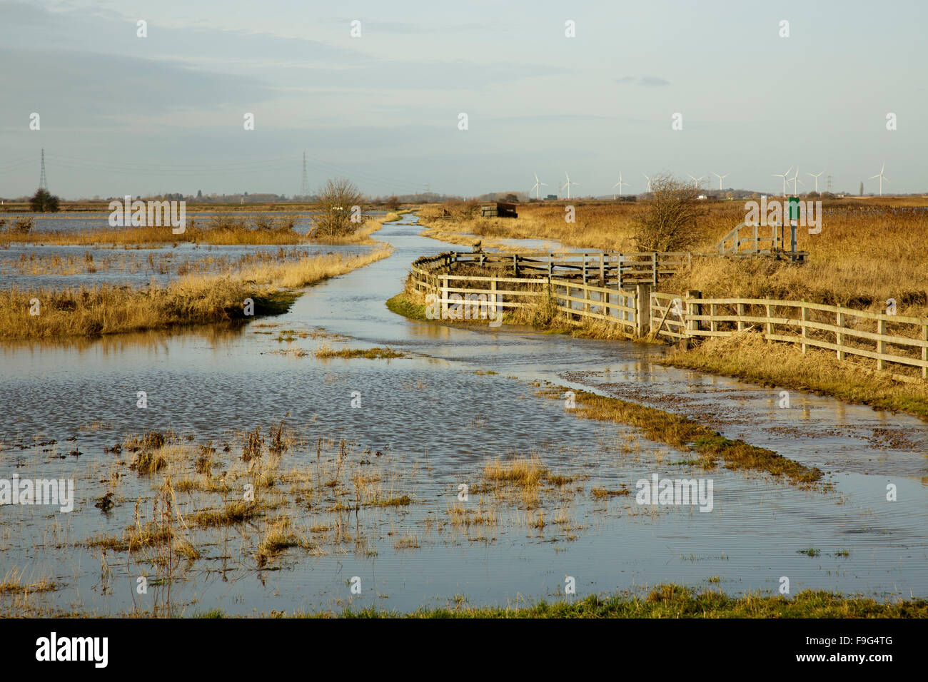 Alkborough Flats, Managed Realignment site, North Lincolnshire, England ...