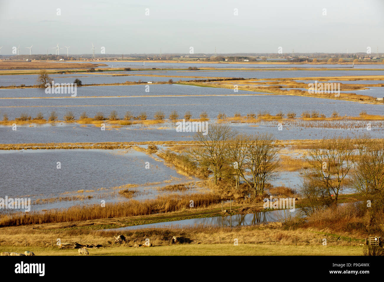 Managed Realignment High Resolution Stock Photography and Images - Alamy