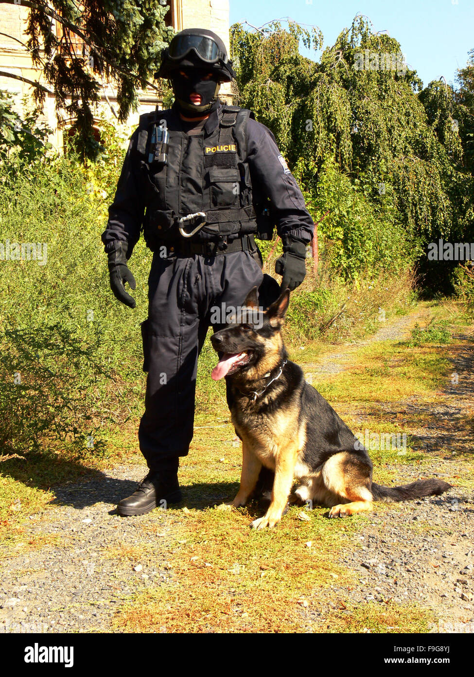 Policeman With Dog High Resolution Stock Photography and Images - Alamy