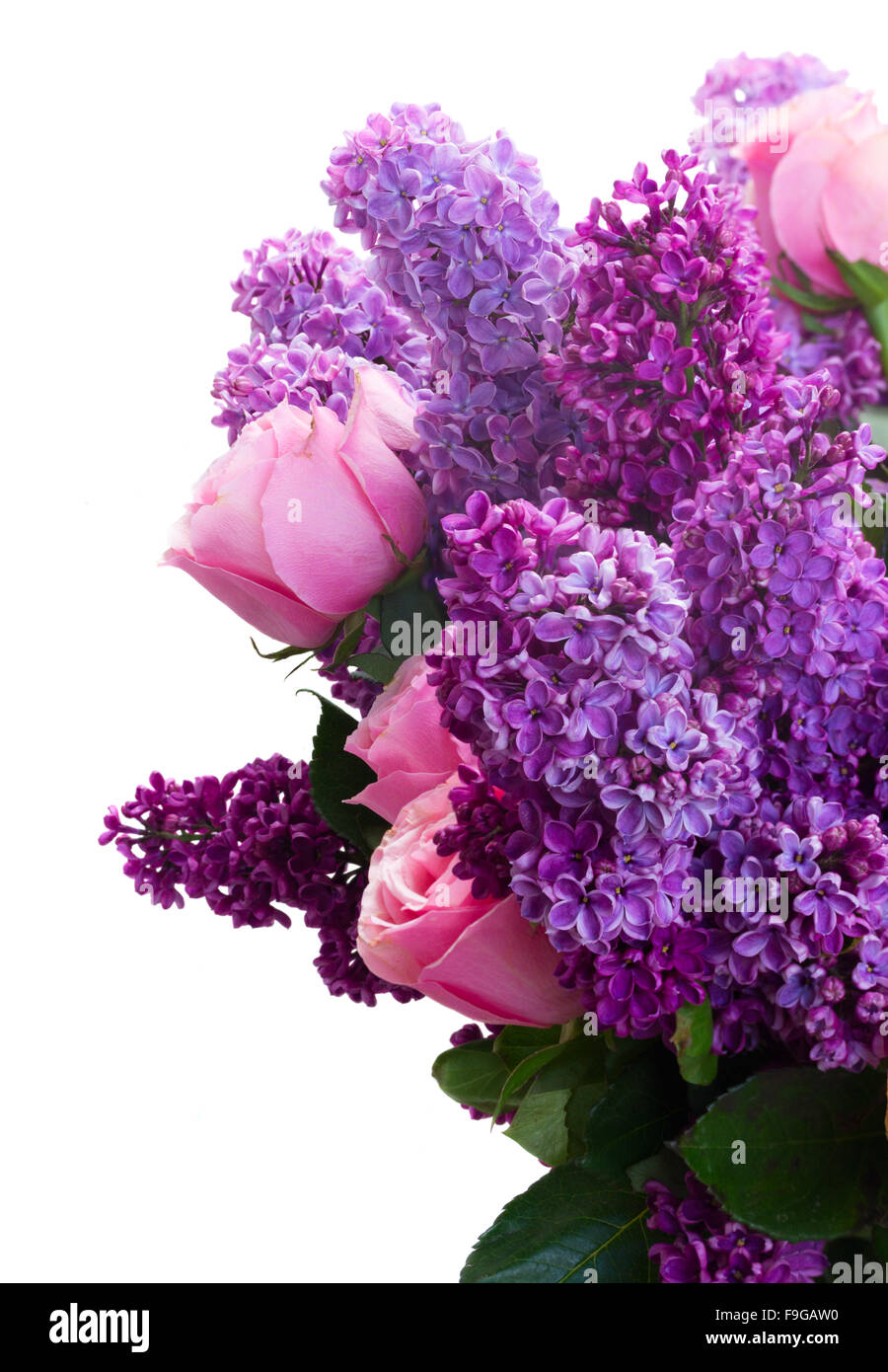 Lilac flowers with roses Stock Photo - Alamy