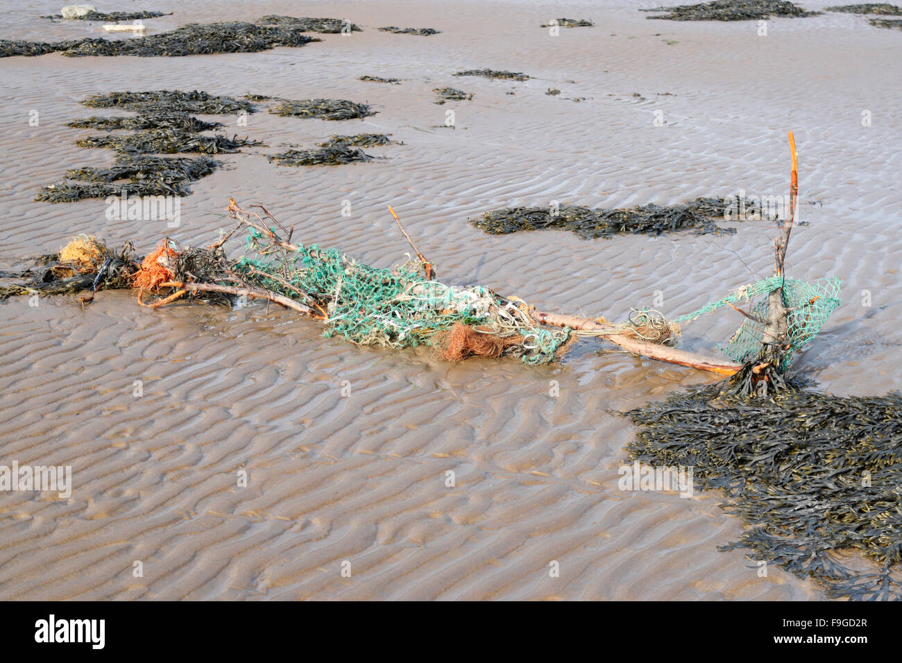 Environment environmental hazard hi-res stock photography and images ...