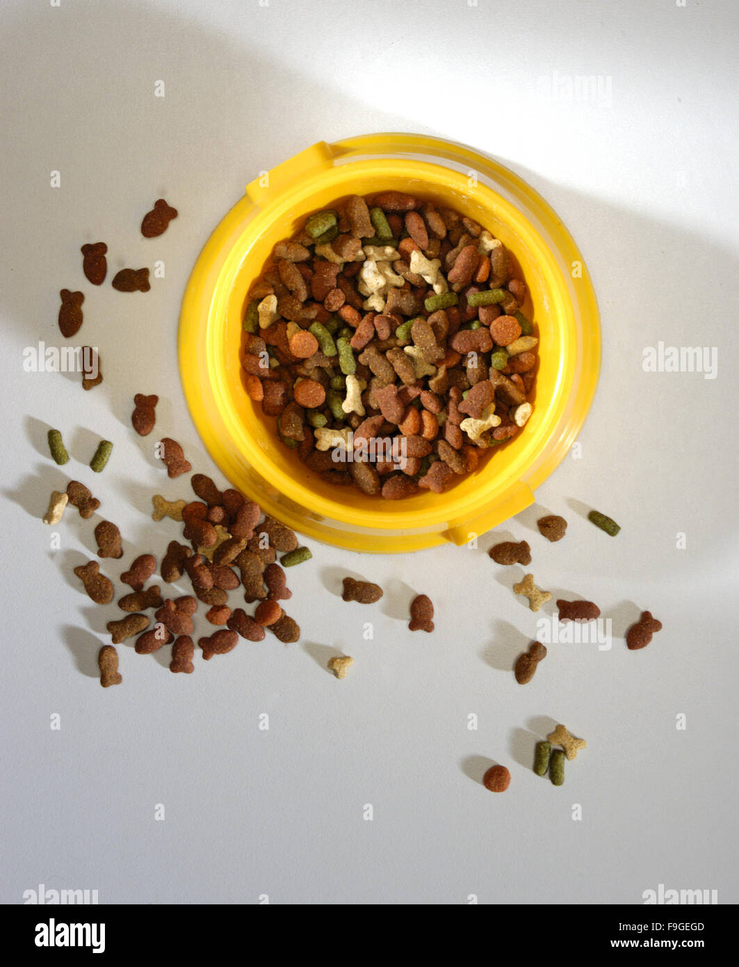 Dog meals hi-res stock photography and images - Alamy