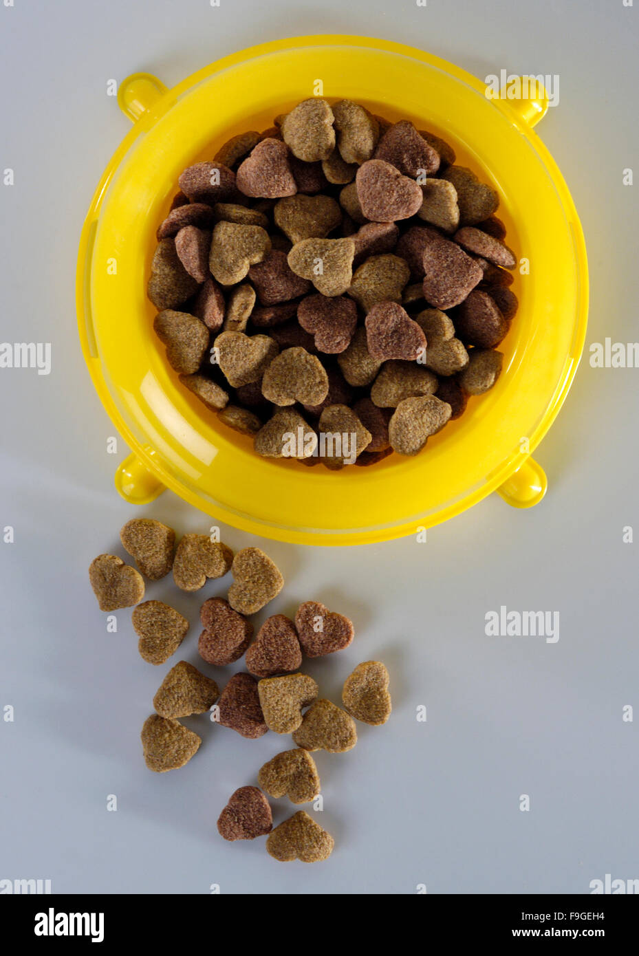 Dog meals hi-res stock photography and images - Alamy