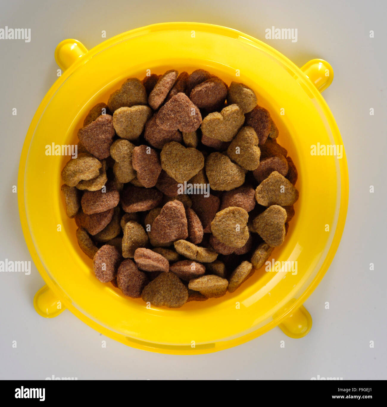 Dog meals hi-res stock photography and images - Alamy