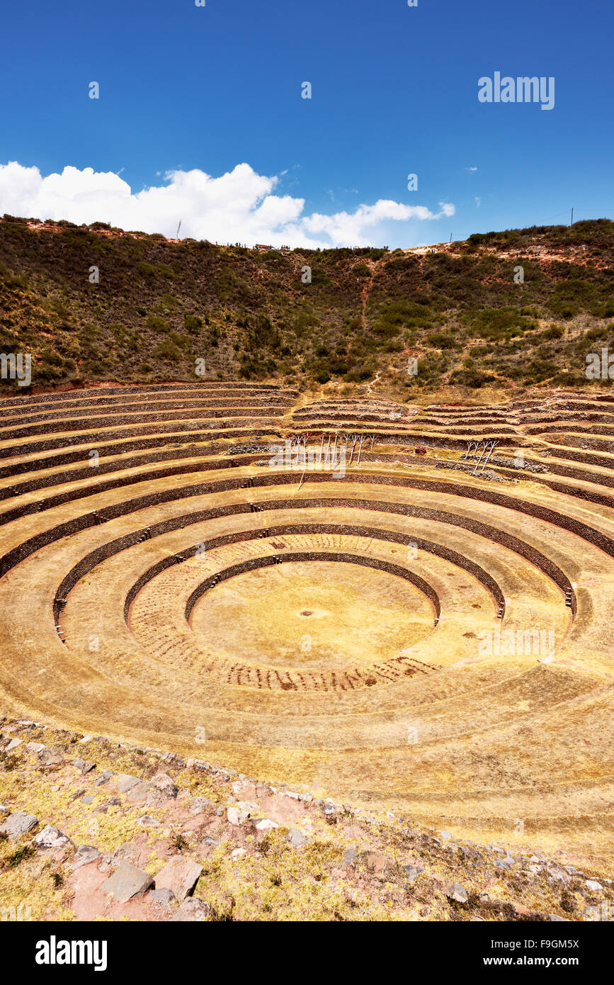 Inca terraces moray sacred valley hi-res stock photography and images ...