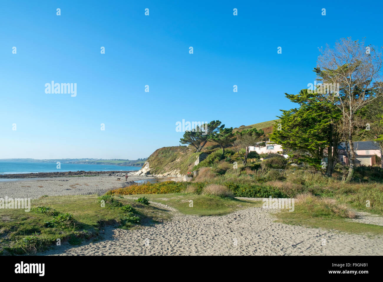 Pendower beach cornwall hi-res stock photography and images - Alamy