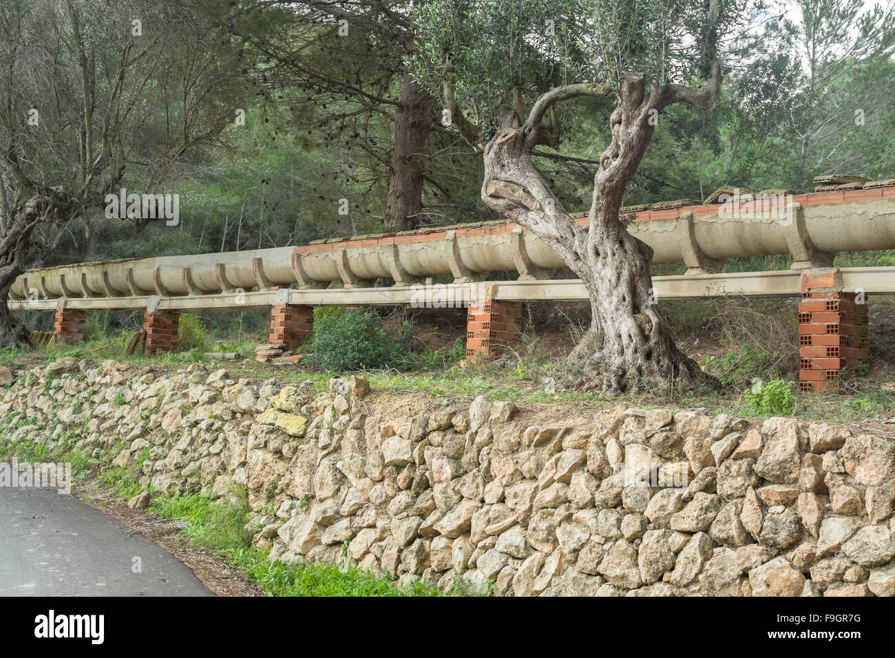 Small agricultural aqueduct running across olive treed farmland Stock ...