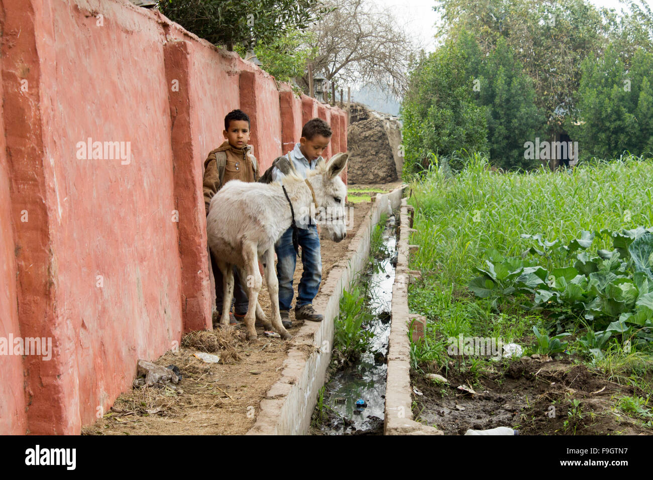 Children riding a donkey to school hi-res stock photography and images ...