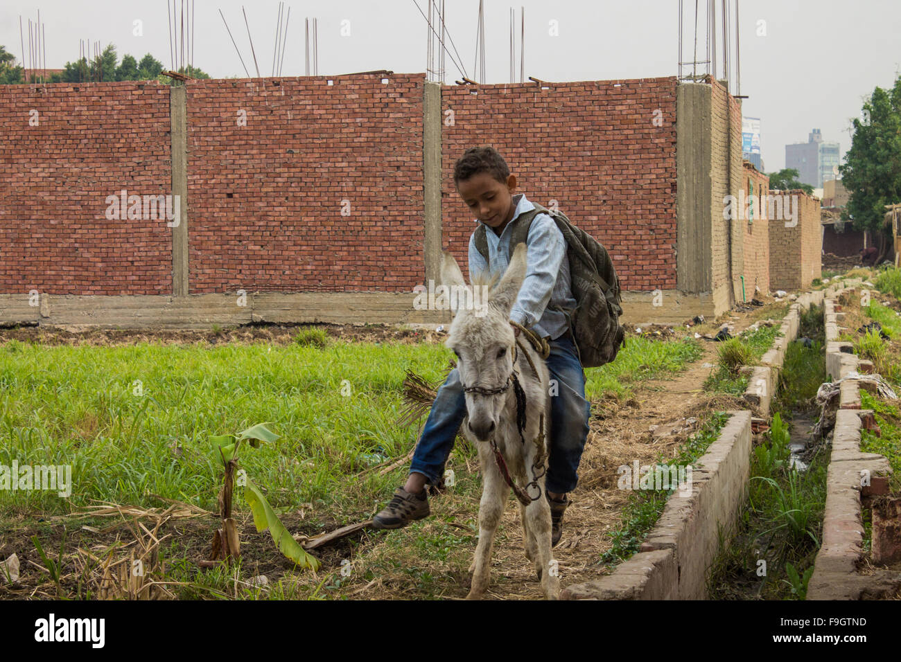 Children riding a donkey to school hi-res stock photography and images ...