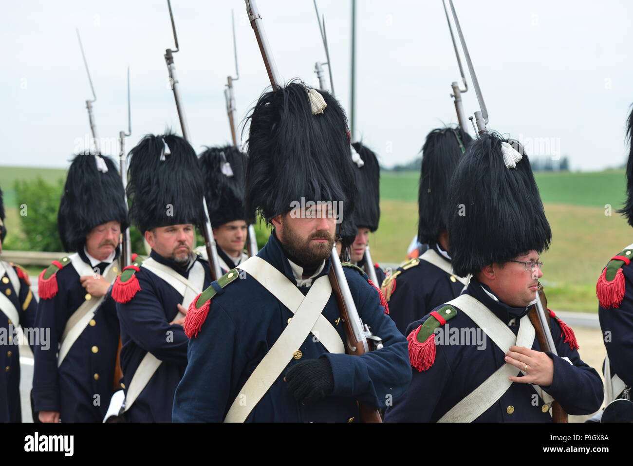 Imperial guard waterloo hi-res stock photography and images - Alamy