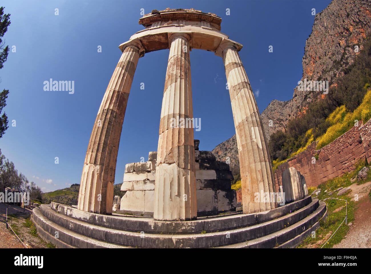 The Tholos of the sanctuary of Athena Pronaia in the oracle at Delphi ...