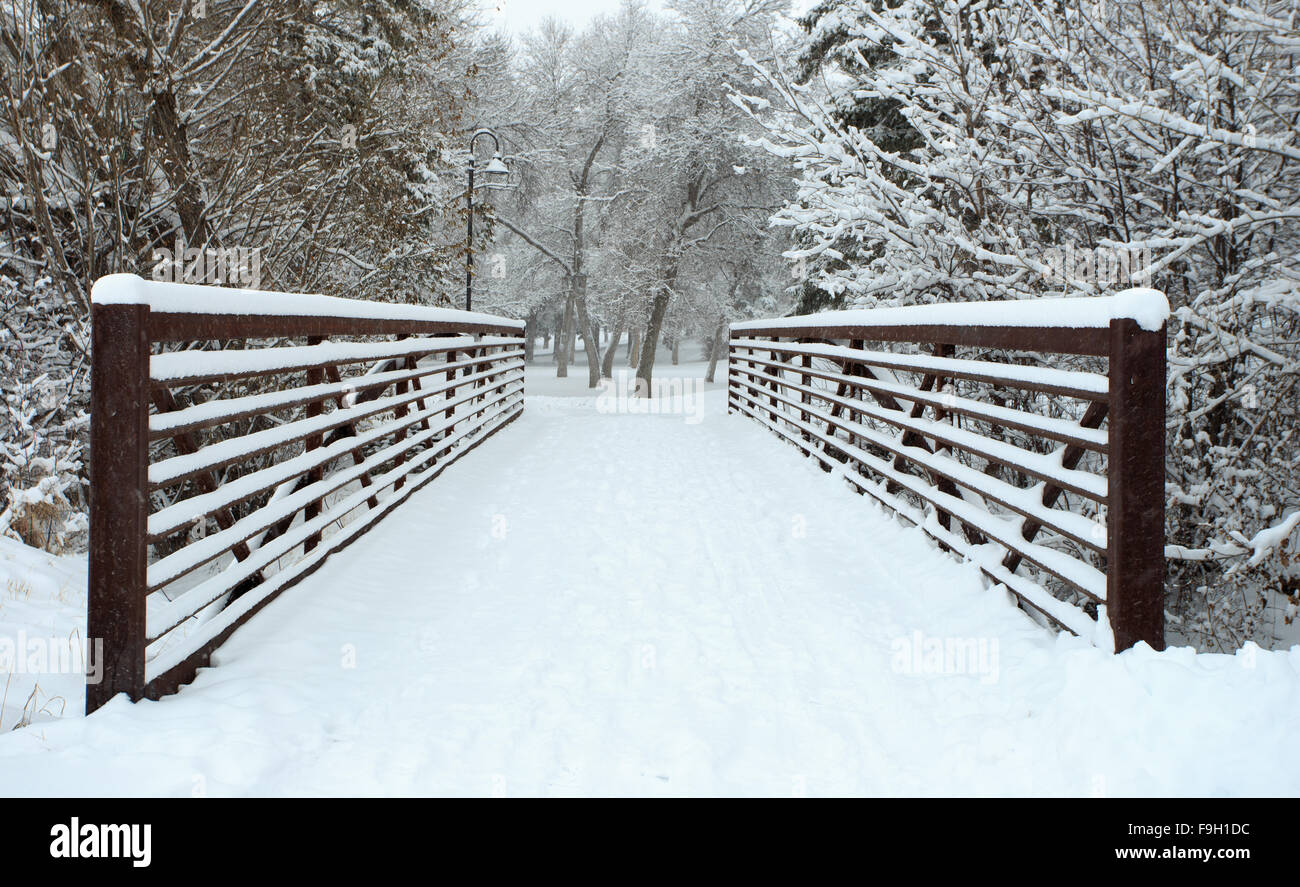 Winter scene of snow covered bridge and forest at Lindley Park, Bozeman ...