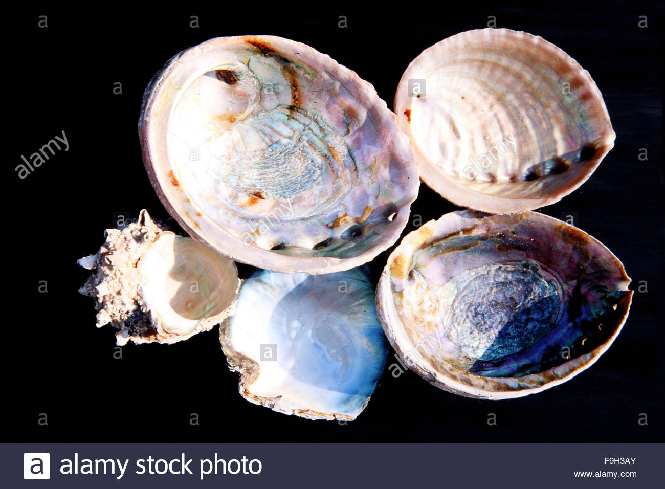 Midden Mound Stock Photos & Midden Mound Stock Images - Alamy