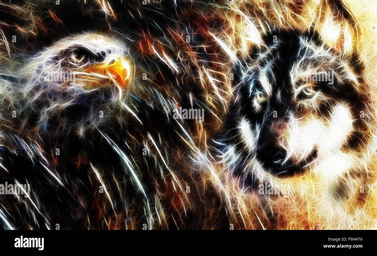 Eagle Vs Wolf