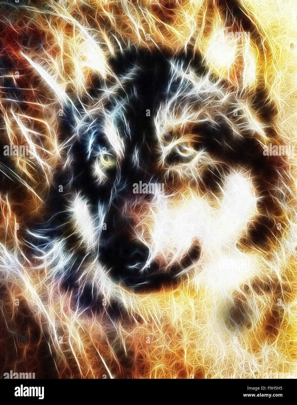 Wolf and eagle color painting, feathers background, multicolor collage ...
