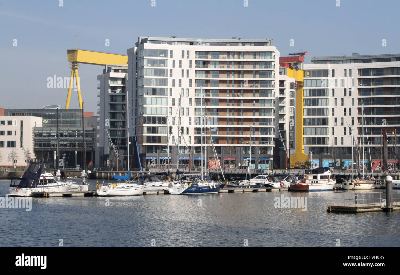Abercorn basin belfast marina hi-res stock photography and images - Alamy