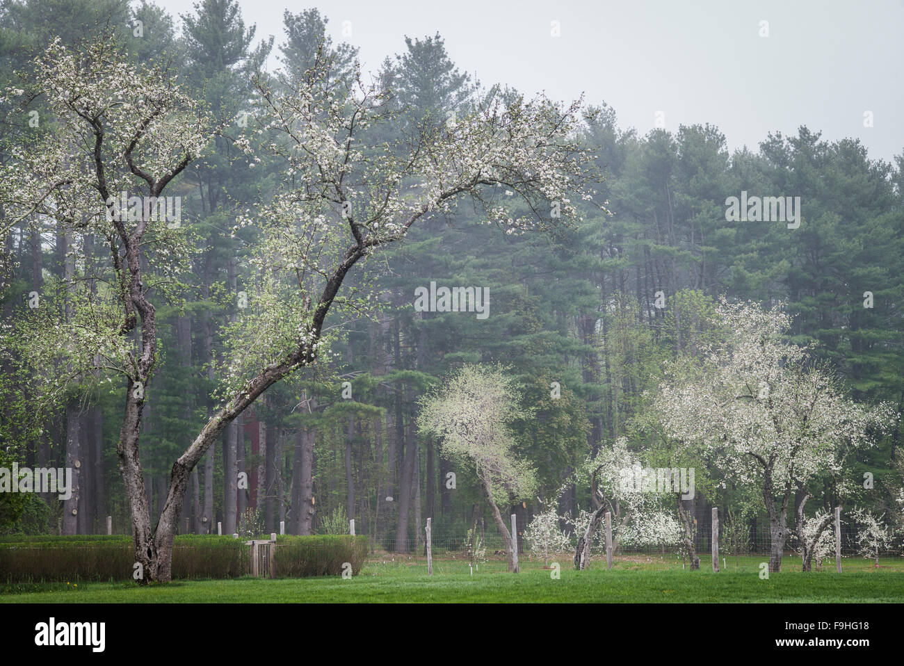 REDDING CONNECTICUT 06896 USA Stock Photo - Alamy