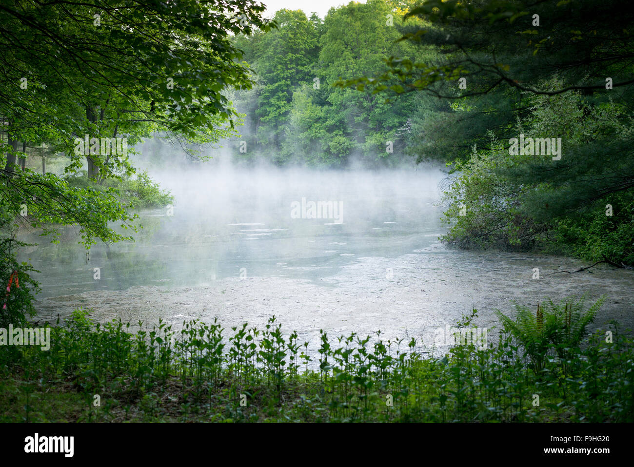 REDDING CONNECTICUT 06896 USA Stock Photo - Alamy