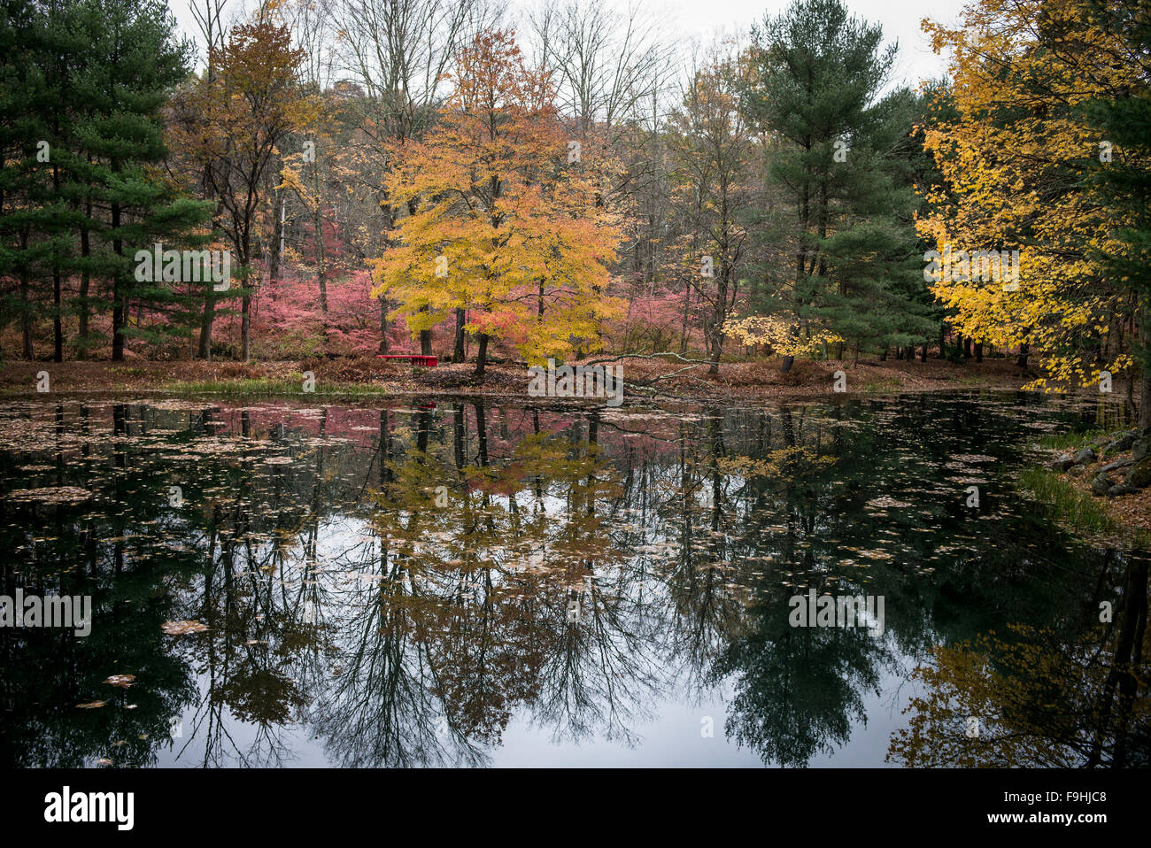 Connecticut fall foliage hi-res stock photography and images - Alamy
