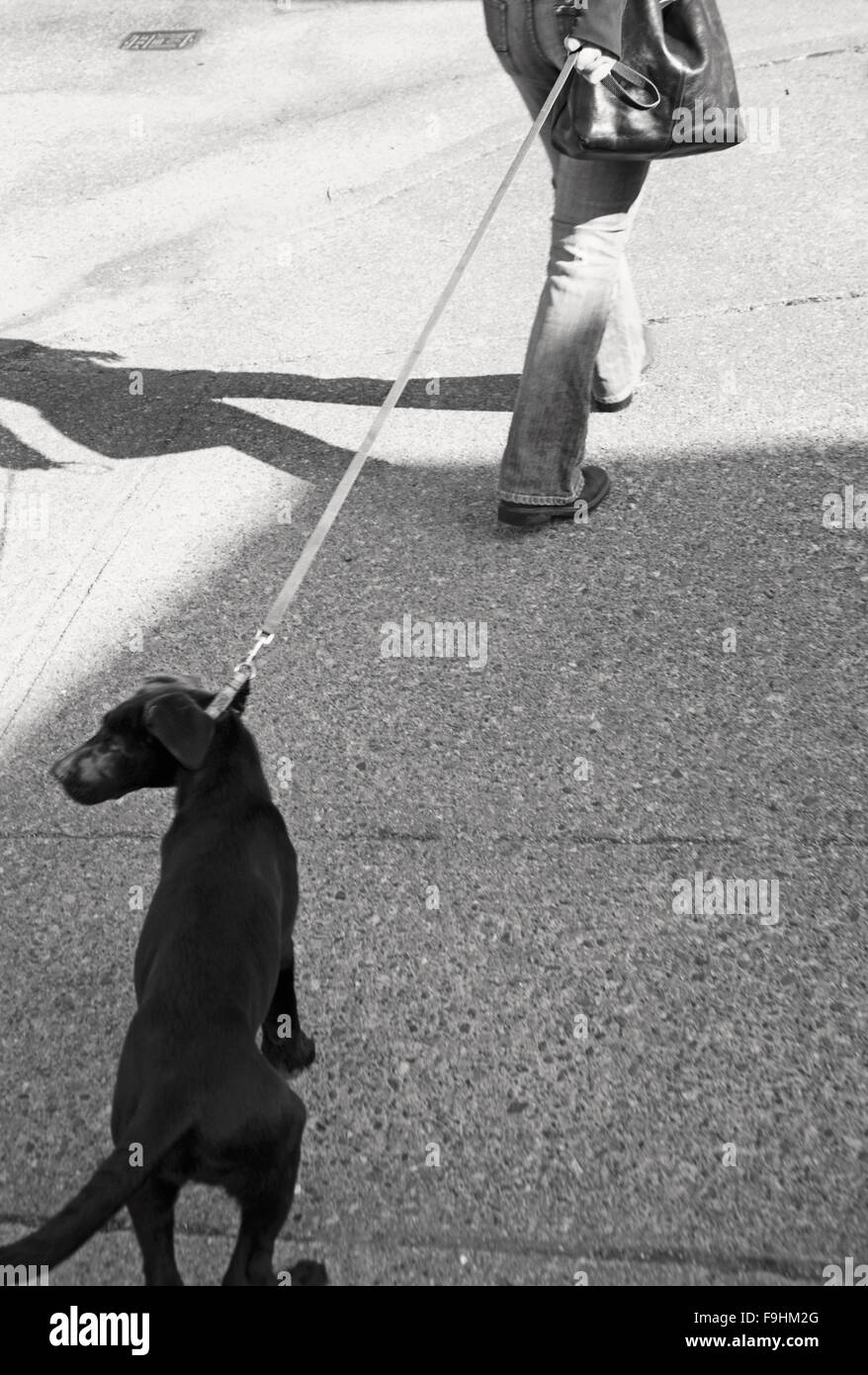 Obeying the rules hi-res stock photography and images - Alamy