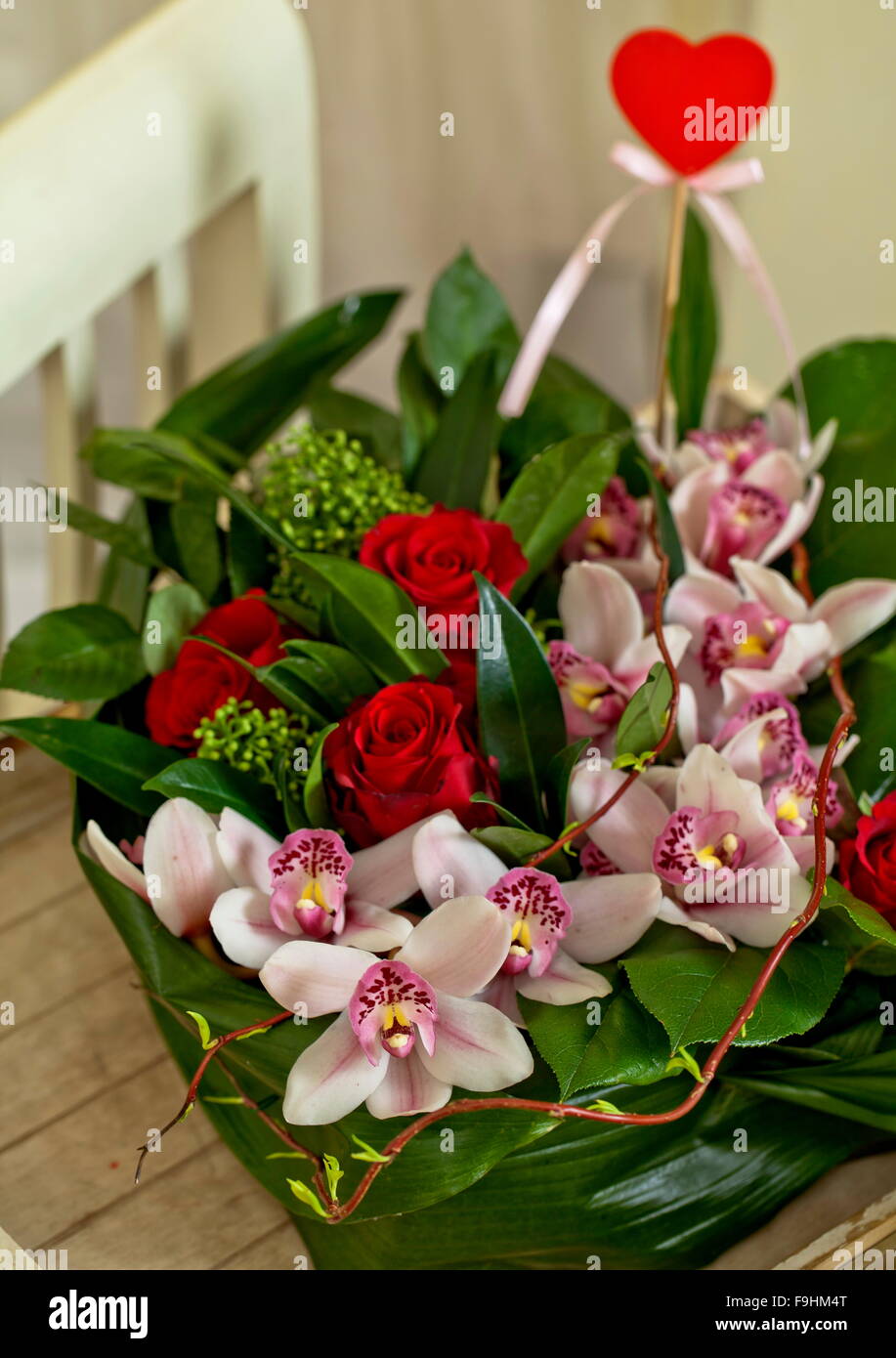 Salix japonica hi-res stock photography and images - Alamy