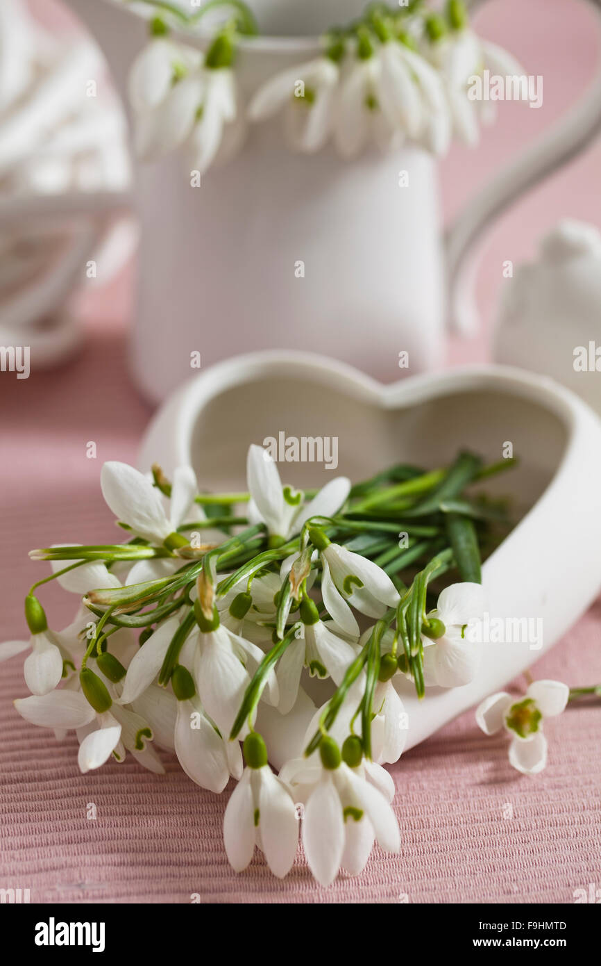 Snowdrop heart hi-res stock photography and images - Alamy