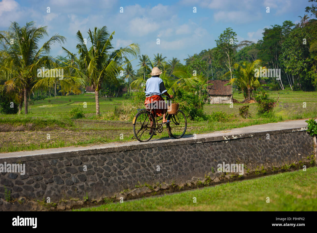 Bali field cycle hi-res stock photography and images - Alamy