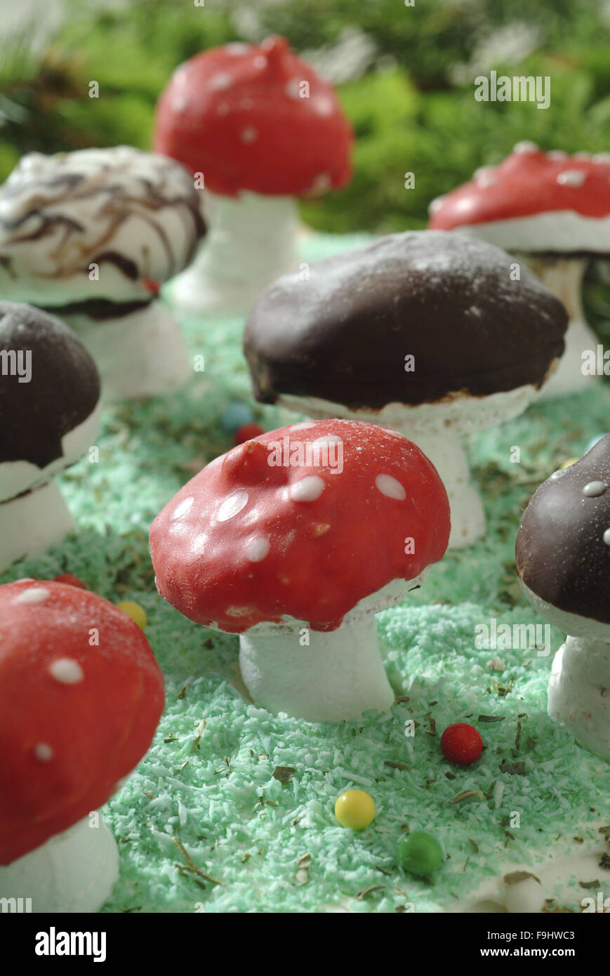Mushrooms in coconut moss hi-res stock photography and images - Alamy