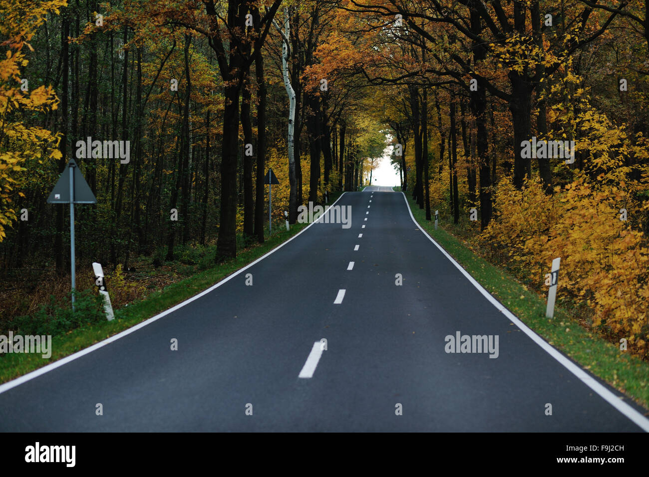 country road at autumn season with bright orange colors at morning ...