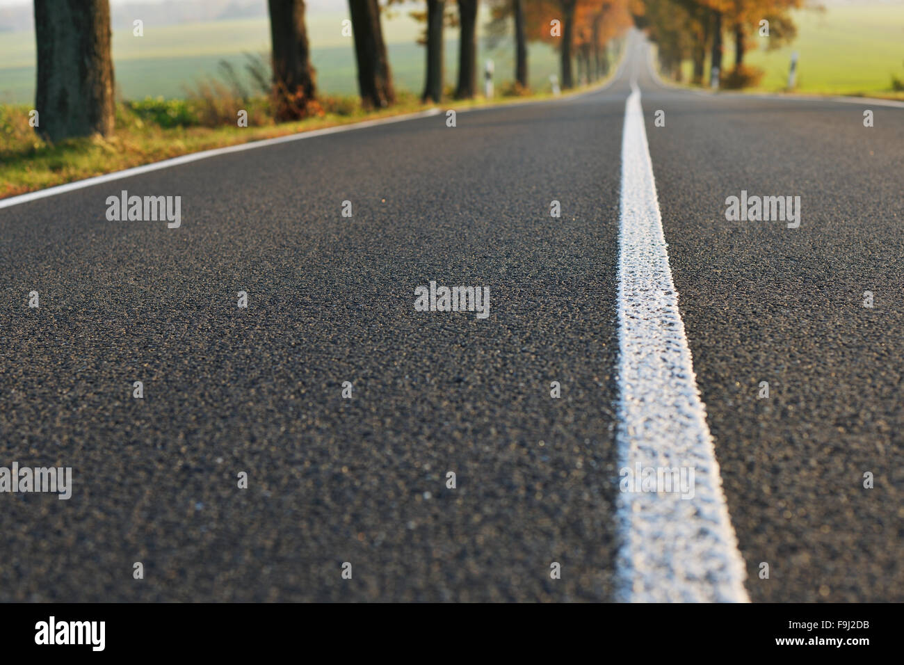 country road at autumn season with bright orange colors at morning ...