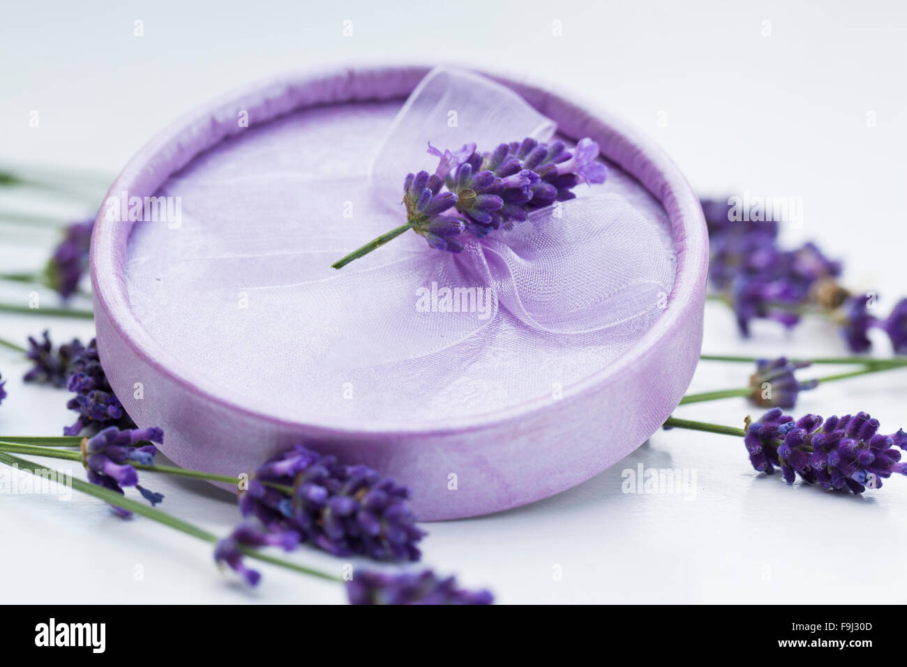 Garden box and lavender hi-res stock photography and images - Alamy