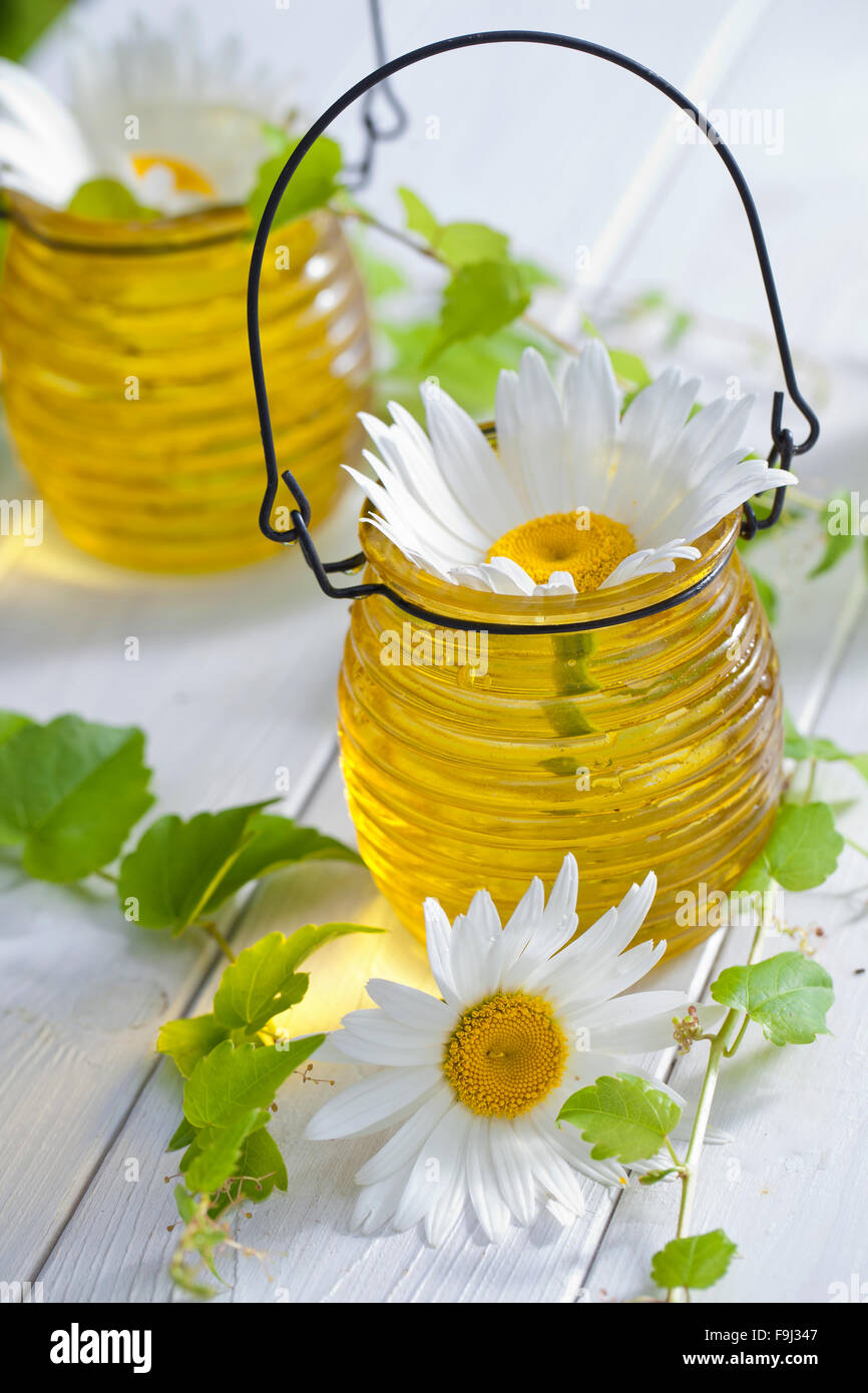 ox daisy flower decoration Stock Photo - Alamy