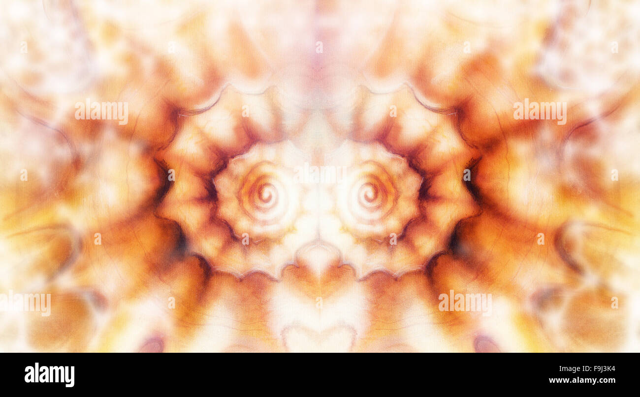 Marine sea shell illustration orange color paintings, mandale effect ...