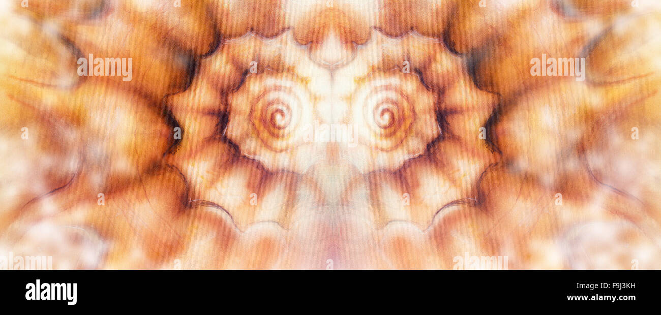 Marine sea shell illustration orange color paintings, mandale effect ...