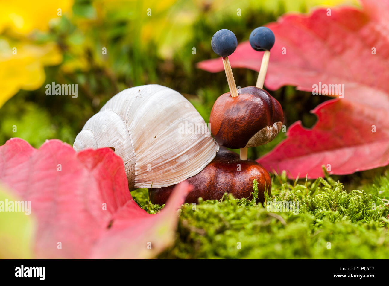 chestnut hand made toys Stock Photo - Alamy