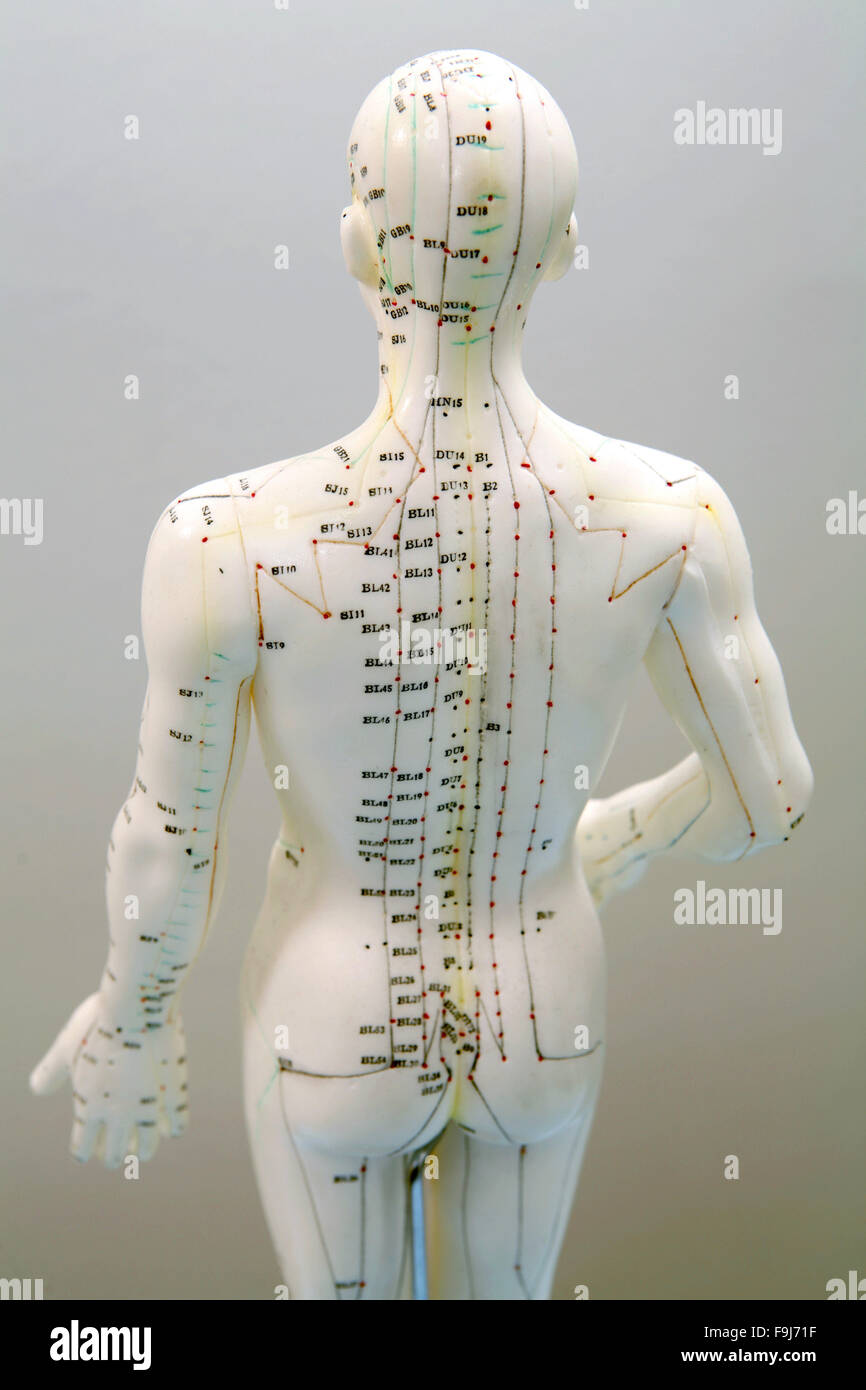 Acupuncture meridians High Resolution Stock Photography and Images - Alamy