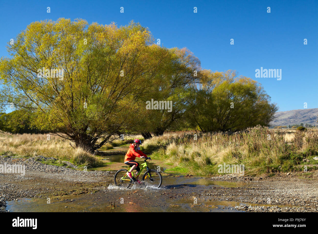 Cyclist crossing the Ida Burn Stream, Ida Valley, beside Otago Central ...