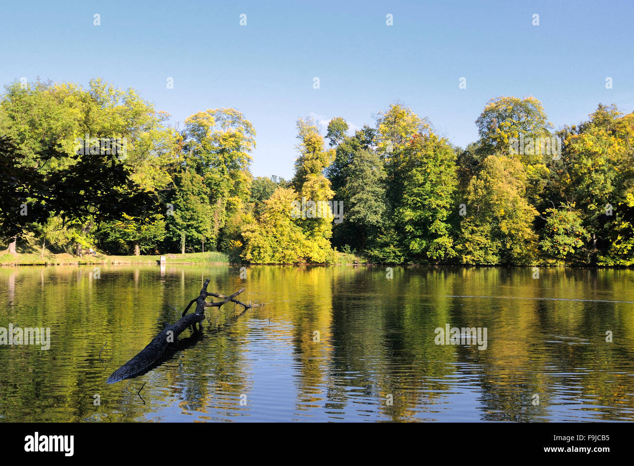 Hermanuv Mestec, Pond, Czech Republic Stock Photo - Alamy