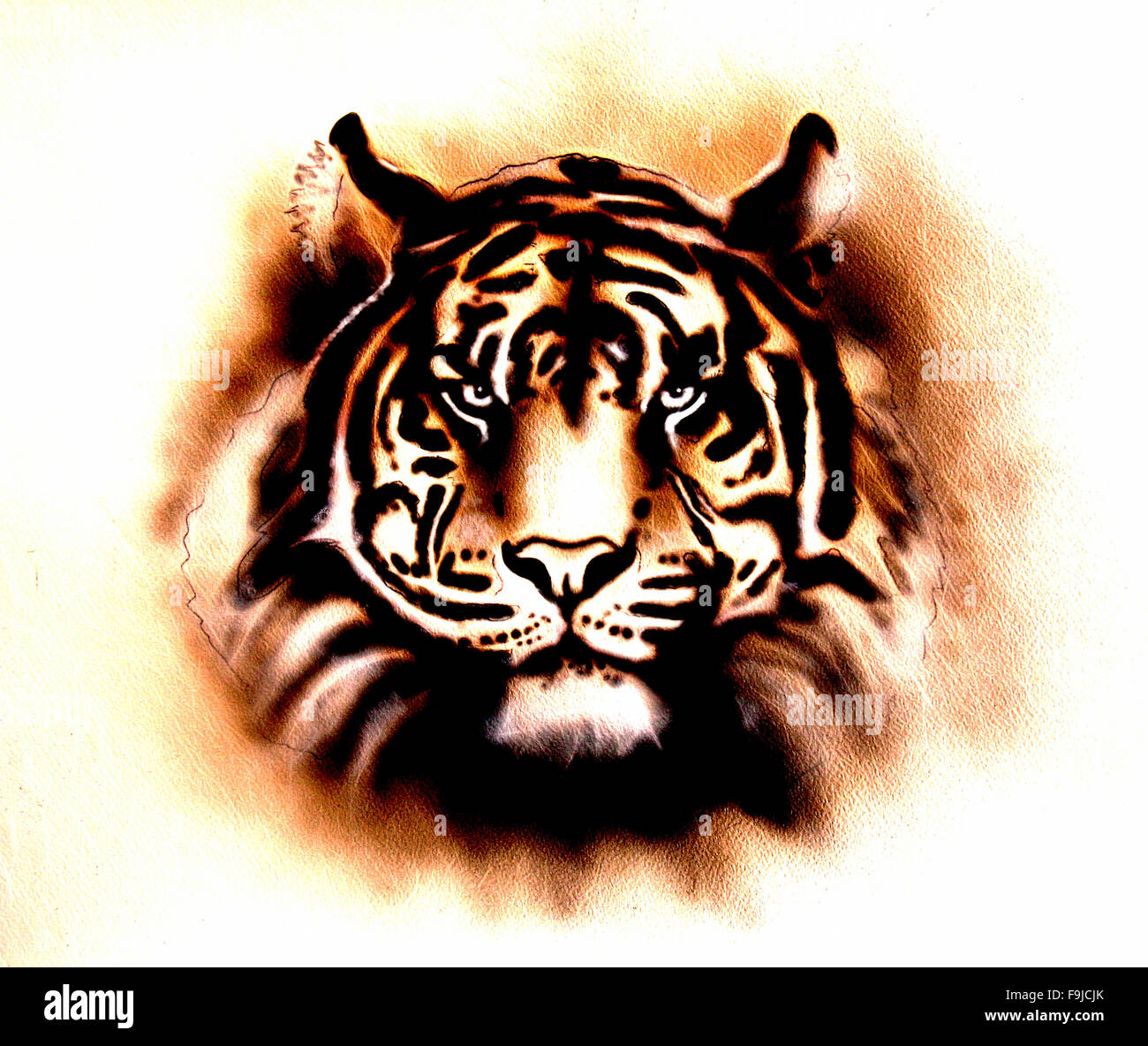 Detailed tiger artwork hi-res stock photography and images - Alamy