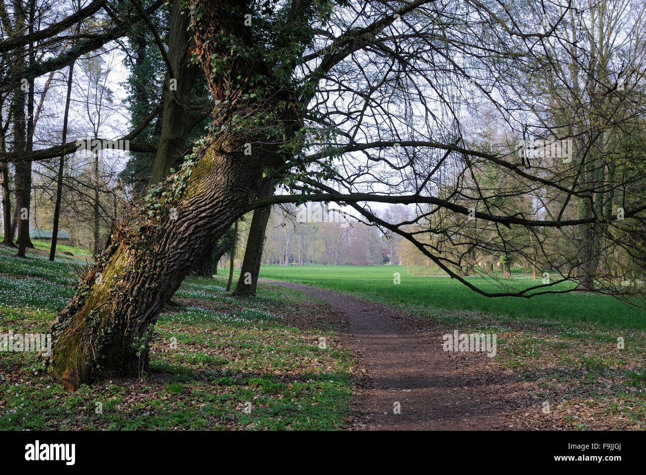 Hermanuv Mestec, Czech Republic, Park Stock Photo - Alamy