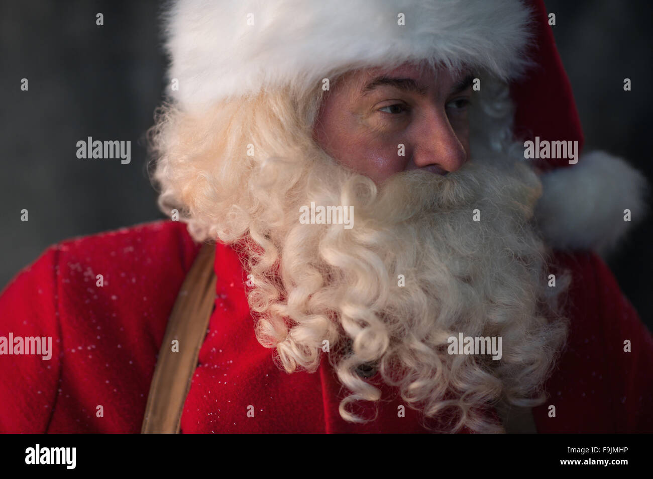 Santa Claus Closeup Portrait Stock Photo - Alamy