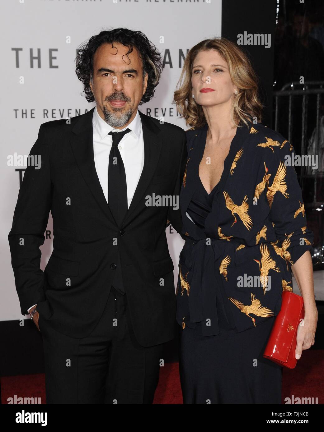 Los Angeles, CA, USA. 16th Dec, 2015. Alejandro Gonzalez at arrivals ...