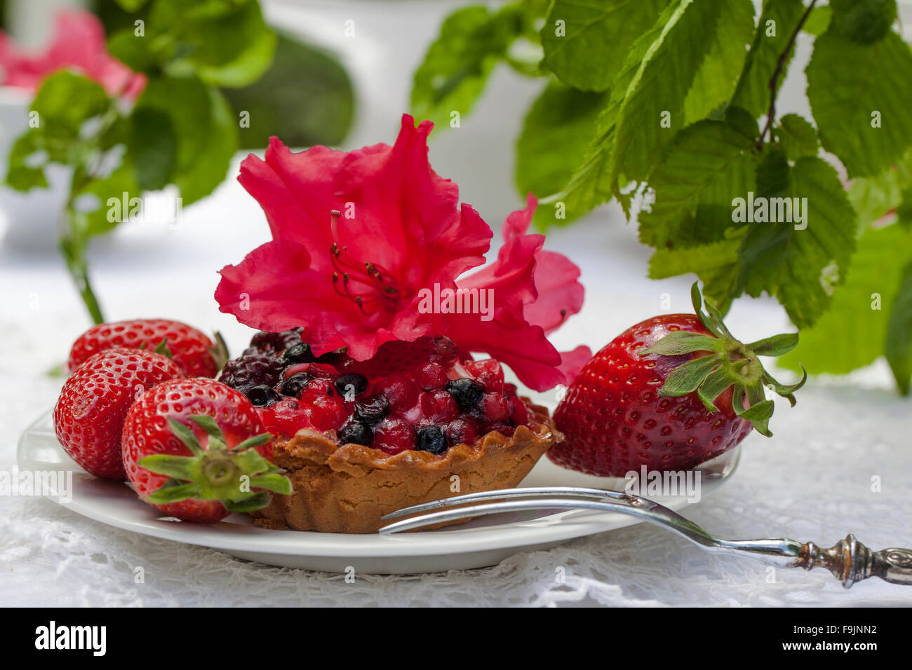 fruit and rhododendron Stock Photo - Alamy